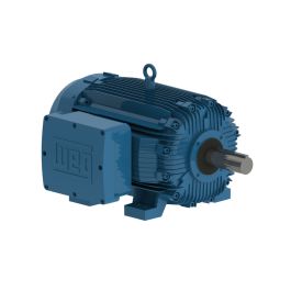 WEG 30018XT3G449T Motor 300HP 4P 449T WFX1