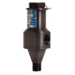 Cyrus Shank 800-250 Safety Relief Valve, 1/2, 3/4, Carbon Steel
