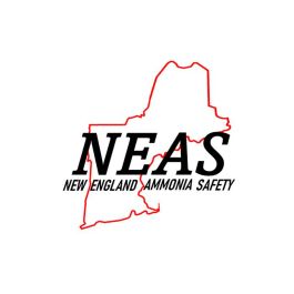NEAS NEASFKCS-SWD-300-E00 3" Socket-weld Flange