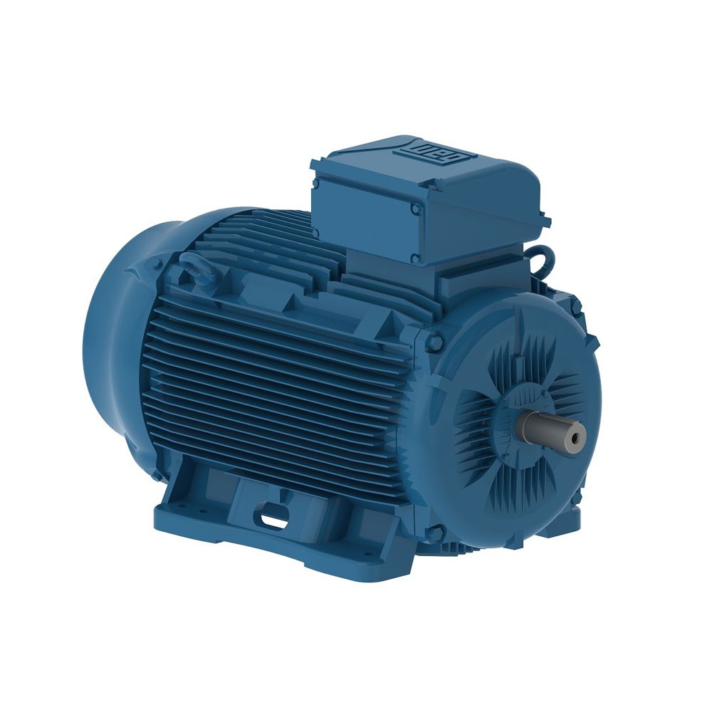 E16012EP3YAX355MLF3W WEG Motor 160kW 6P 355M/L WFF2
